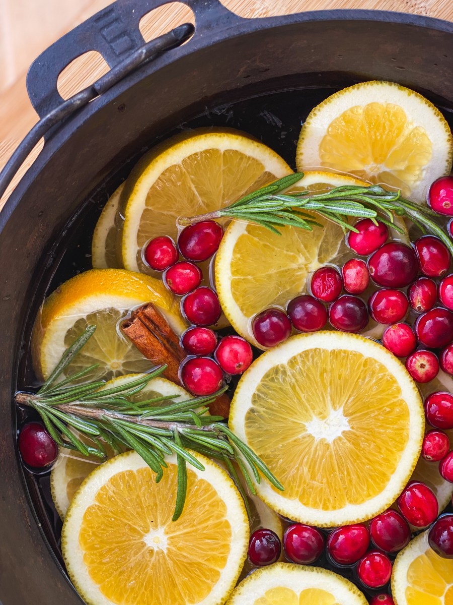 Simple Holiday Simmer Pot – stephreeds