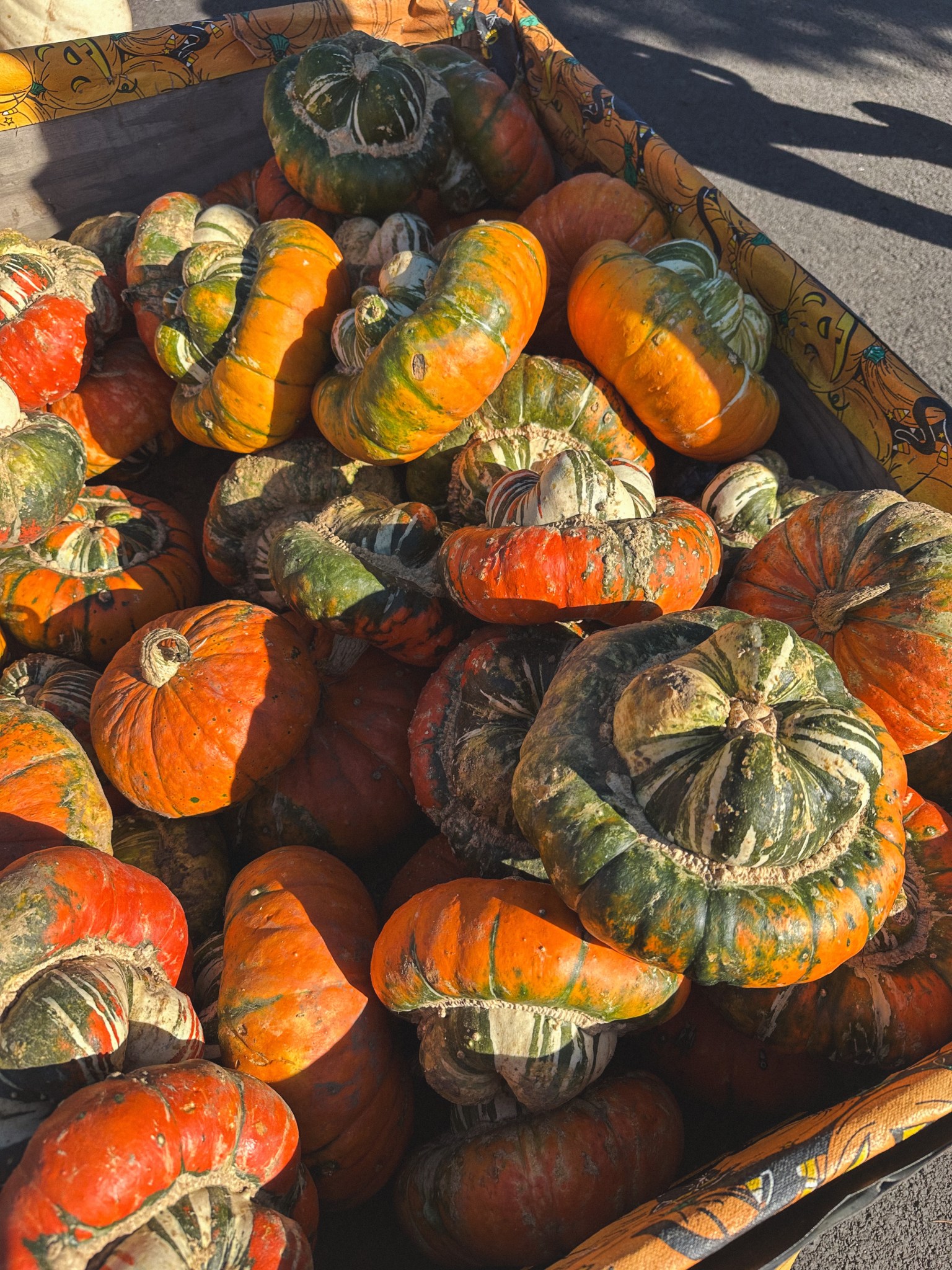 Tuscan Risotto Stuffed Turban Squash – stephreeds